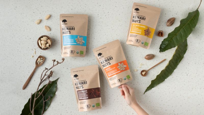 The little-known nut that may save at-risk rainforests - BBC News