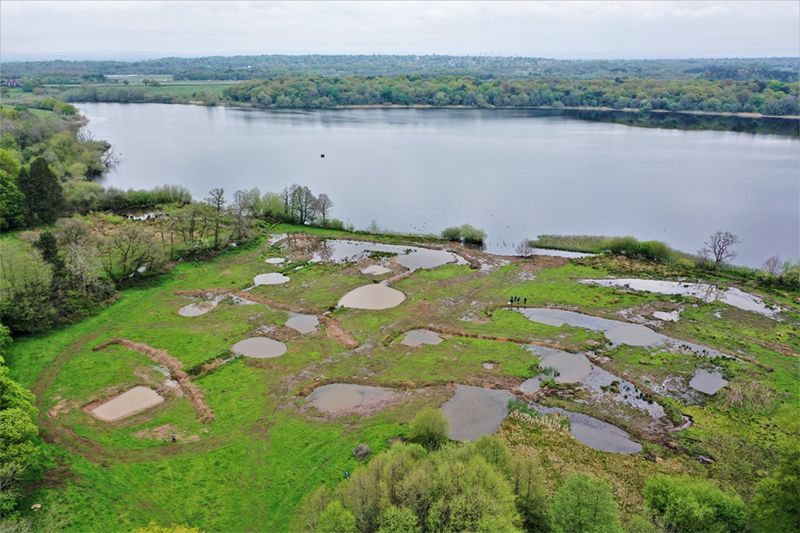 Six major nature recovery schemes across England unveiled - BBC News