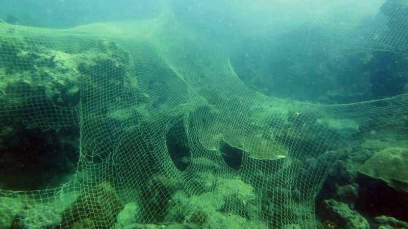 Ghost nets: Tackling a silent killer of the seas - BBC News