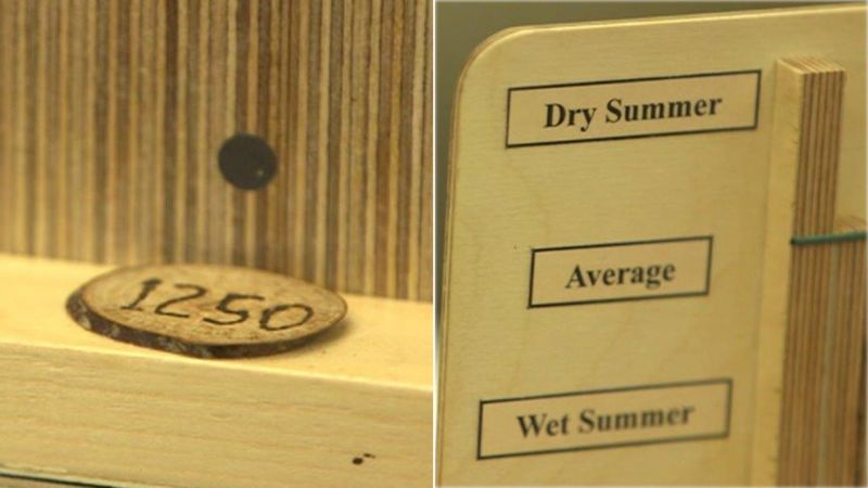 Climate change: 800 years tracked using oak tree rings - BBC News