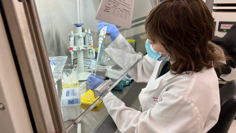 Black Death 700 years ago affects your health now - BBC News