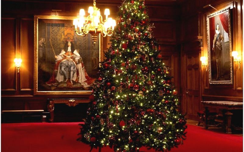 In pictures: Scotland's amazing Christmas trees - BBC News