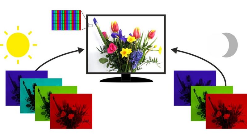 Cyan colour hidden ingredient in sleep - BBC News