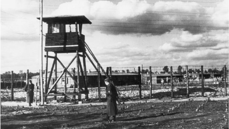 Great escapes: How WW2 captives found a glint of light - BBC News