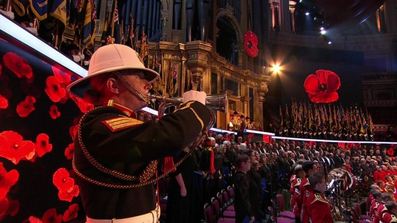 Remembrance Sunday 2018: Poppy displays in pictures - BBC News