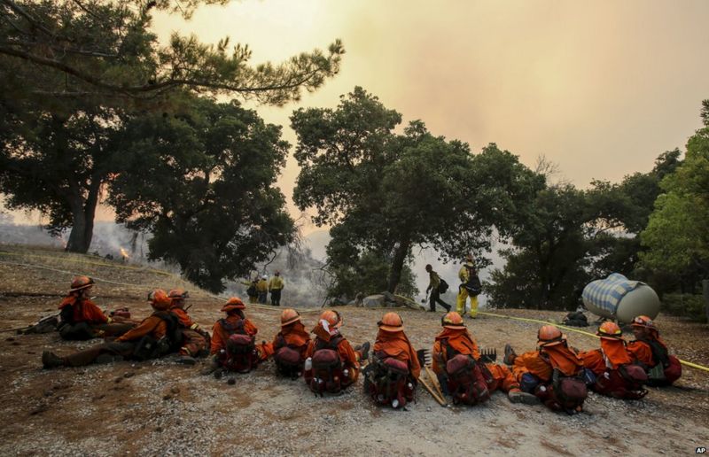 Wildfires: Why they start and how they can be stopped - BBC News