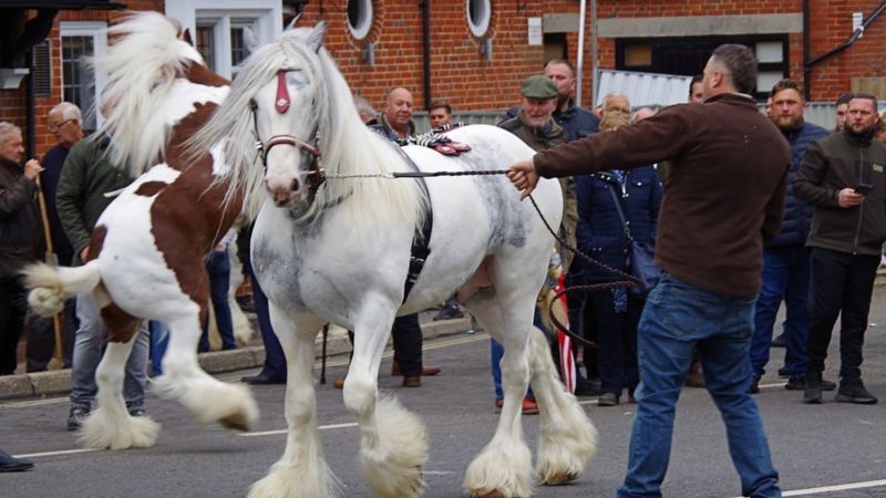 Wickham Horse Fair: Thousands expected at historical event - BBC News