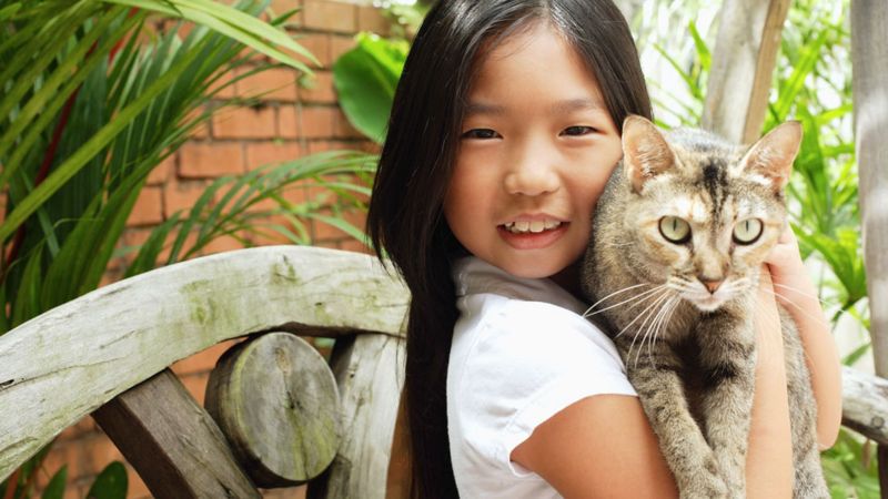 The rise of Singlish - BBC News