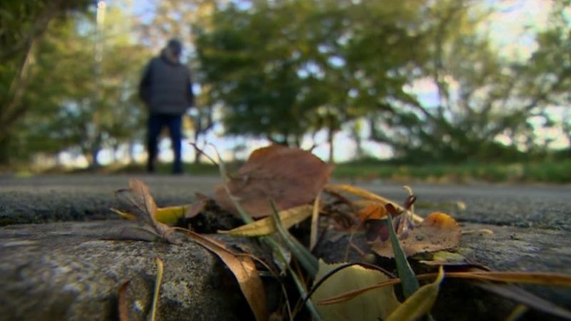 Modern slavery: 230 people rescued in North East in one year - BBC News