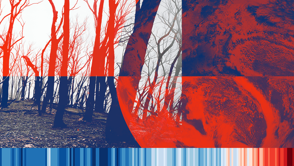 Climate change: How is my country doing on tackling it? - BBC News