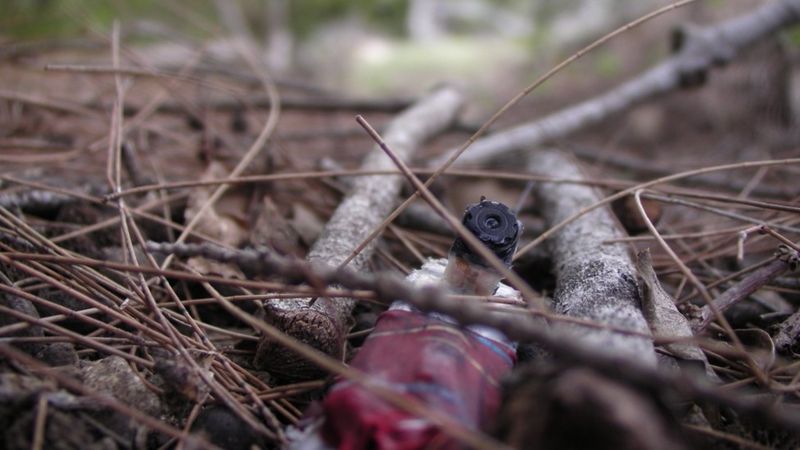 Crows' tool time captured on camera - BBC News