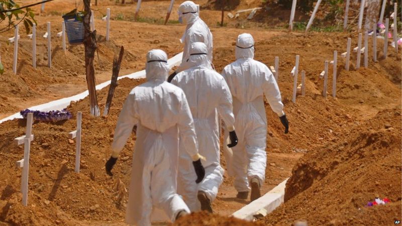 Ebola countries record first week with no new cases - BBC News