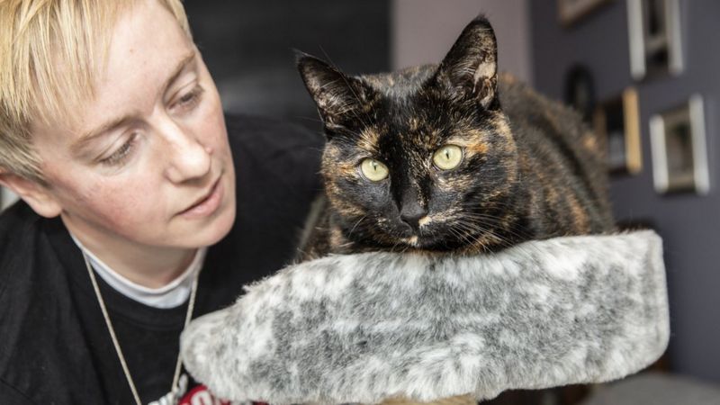 Cat of The Year Awards: Inspiring tails of the UK's finest felines ...