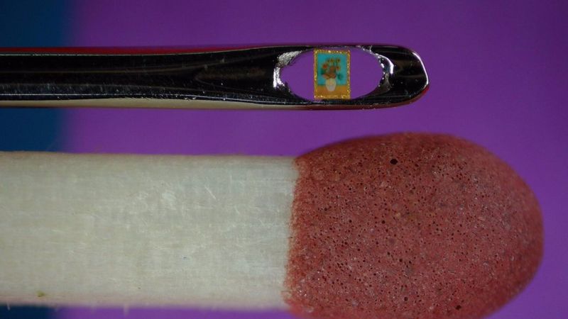 David A Lindon's micro art masterpieces sell for £90,000 - BBC News