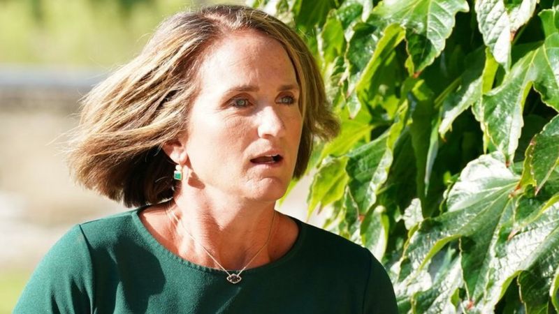 Sarah Moulds: Woman's life 'torn to pieces' by pony-hitting case - BBC News