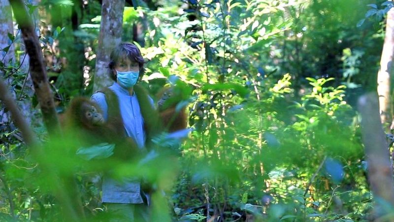 Coronavirus: This is not the last pandemic - BBC News