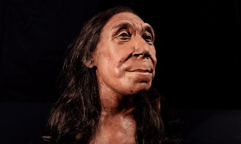 Face of 75,000-year-old Neanderthal woman revealed - BBC News