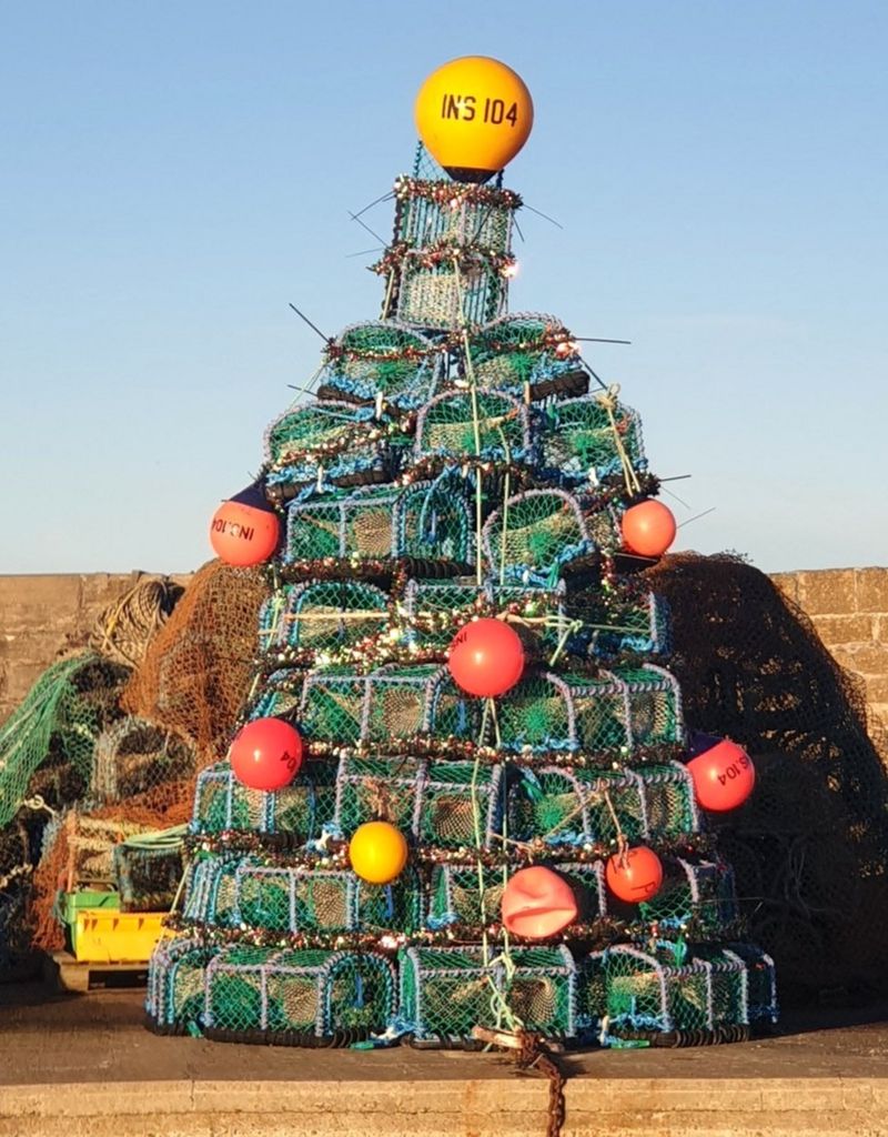 Your pictures of Scotland 11 - 18 December - BBC News