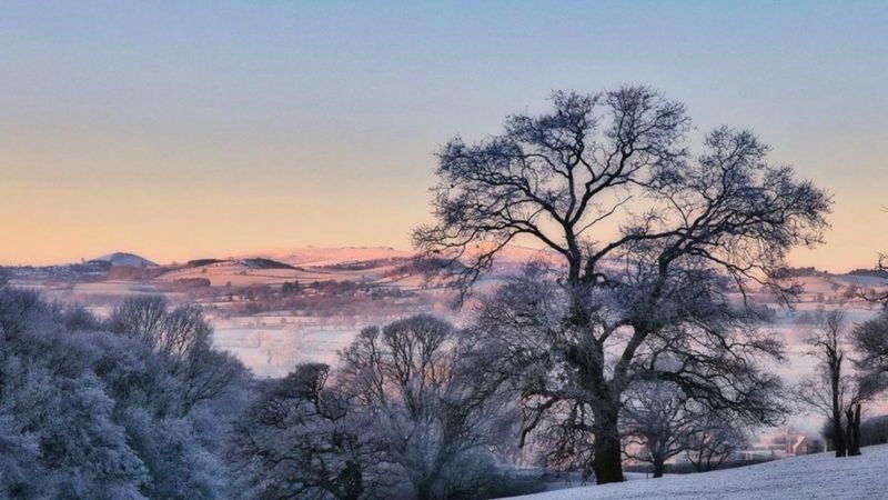 West Midlands photographers capture winter wonderland - BBC News