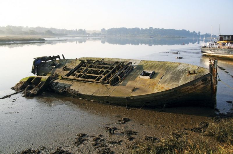 Your pictures: Decay - BBC News