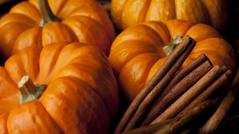 The rise and rise of pumpkin spice everything - BBC News