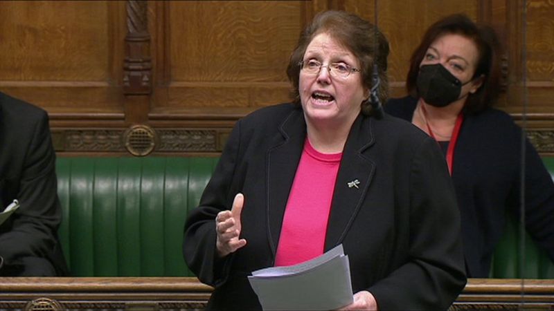 Government backs bill to promote use of British Sign Language - BBC News