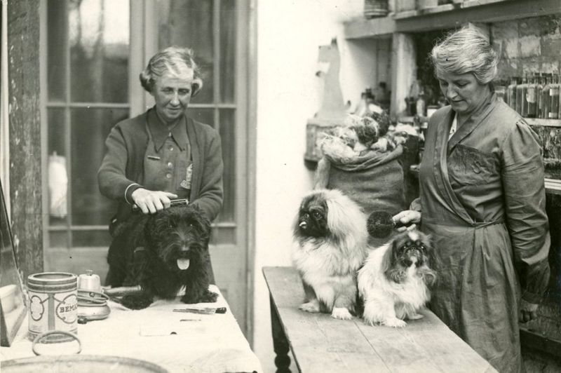 Women's Voluntary Service: 'The army Hitler forgot' - BBC News