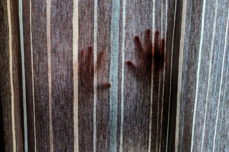 Your pictures on the theme of 'hidden' - BBC News