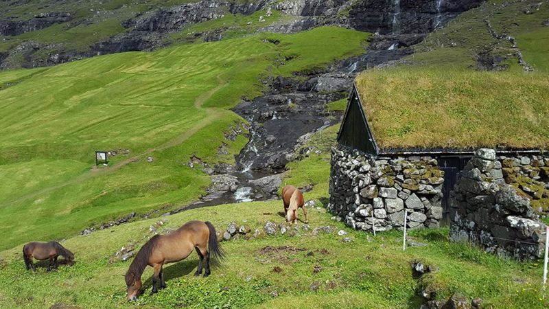 Your pictures on the theme of 'shelter' - BBC News
