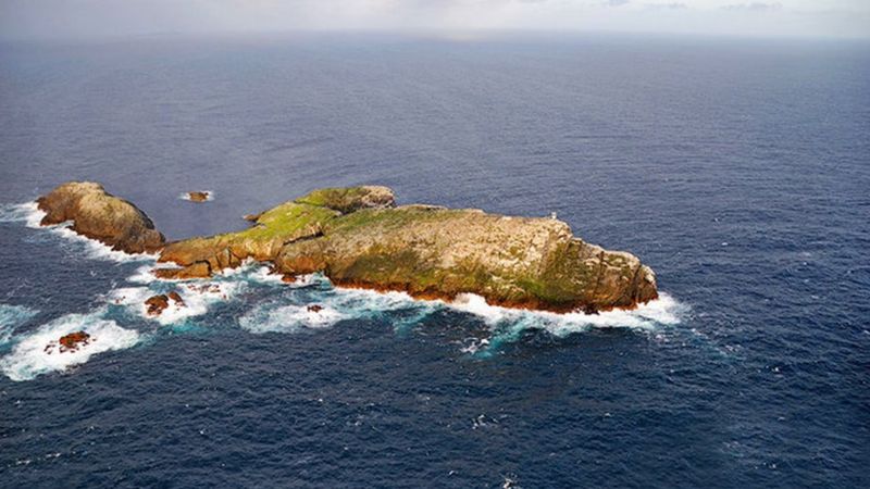 Western Isles' Sula Sgeir guga hunt 'sustainable' - BBC News