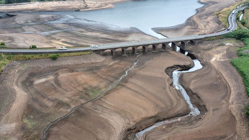 Europe's drought the worst in 500 years - report - BBC News