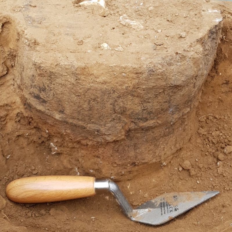 New Forest Stone Age nutshell 'reveals prehistoric campsite' - BBC News