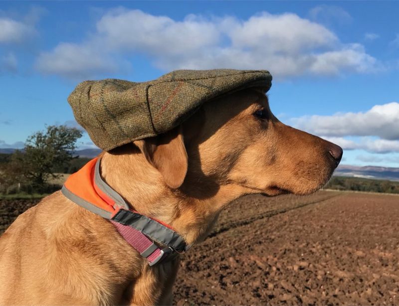 Your pictures of Scotland: 4 November - 11 November - BBC News