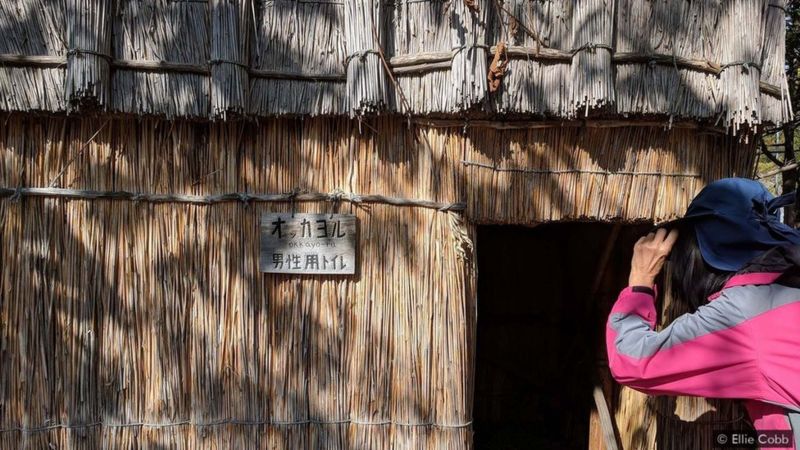 Ainu, o povo indígena do Japão que vivia com ursos - BBC News Brasil