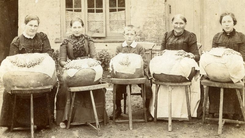 Bedfordshire young lace-makers sought to keep the craft alive - BBC News