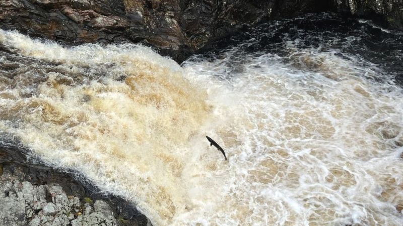 Your pictures of Scotland: 3 November - 10 November - BBC News