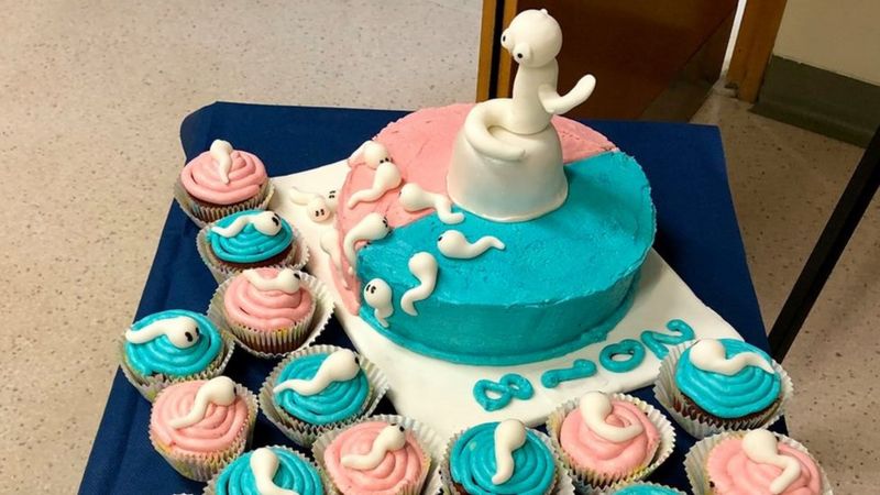 In pictures: Great Midwifery Cake Off - BBC News