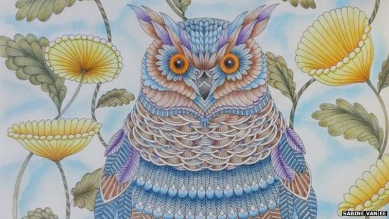 Adult colouring book brings Millie Marotta top 10 success - BBC News