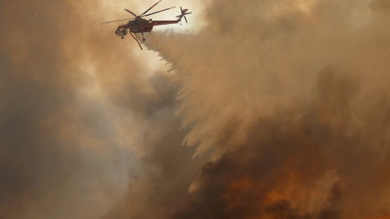 Wildfires: Why they start and how they can be stopped - BBC News