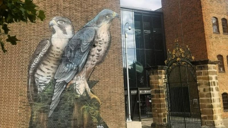 Giant graffiti peregrine falcons fly into Derby - BBC News