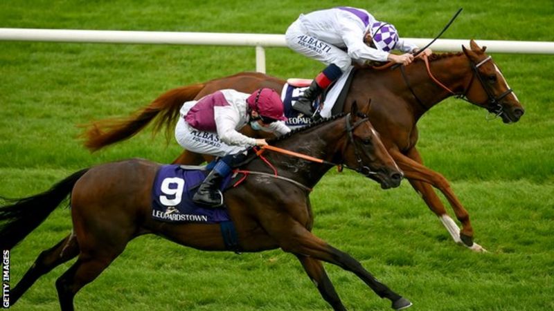 300-1 shot He Knows No Fear makes horse racing history with win at ...