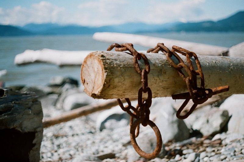 Your pictures: Metallic - BBC News