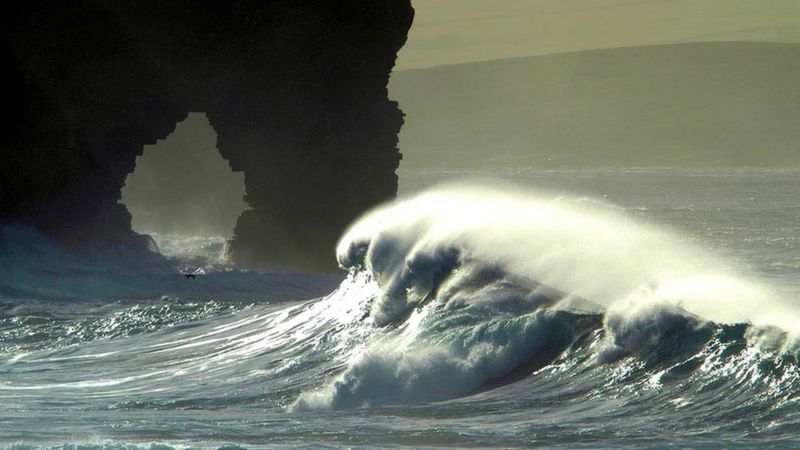 Your pictures of Scotland 3 April - 10 April - BBC News