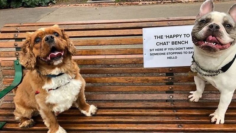 'Happy to Chat' benches: The woman getting strangers to talk - BBC News