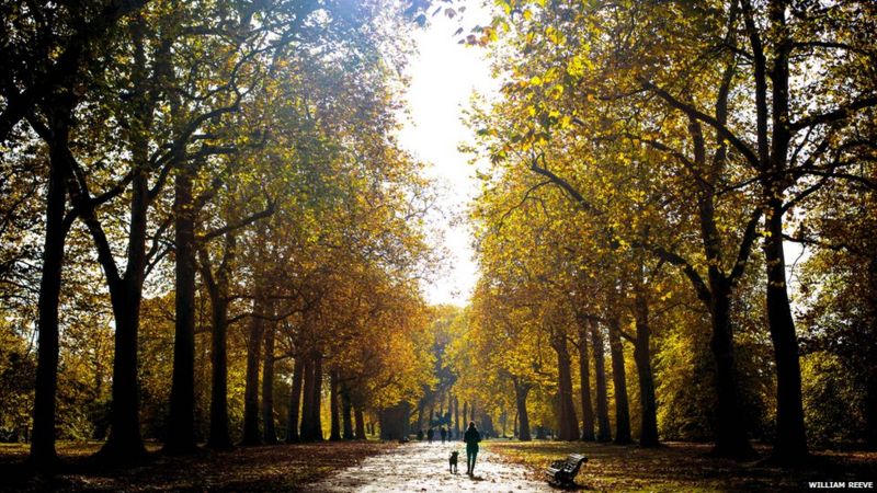 Your November weather photos - BBC Weather