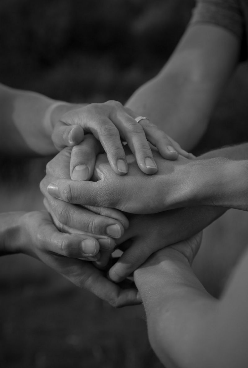 Exploring sibling relationships through the lens - BBC News