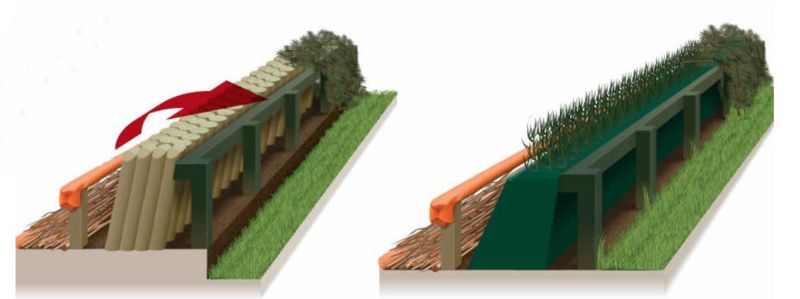 Grand National 2024: Everything you need to know - BBC Newsround