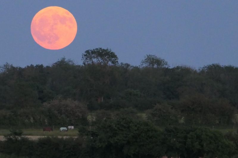 Strawberry Moon captured over England - BBC News