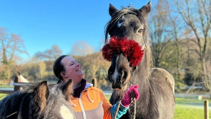 Cost of living: Helping Hooves social farm faces uncertain future - BBC ...