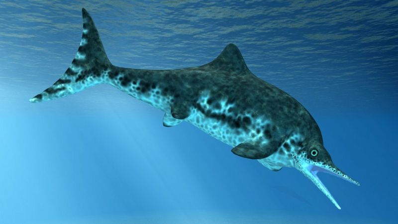 Fossil preserves 'sea monster' blubber and skin - BBC News